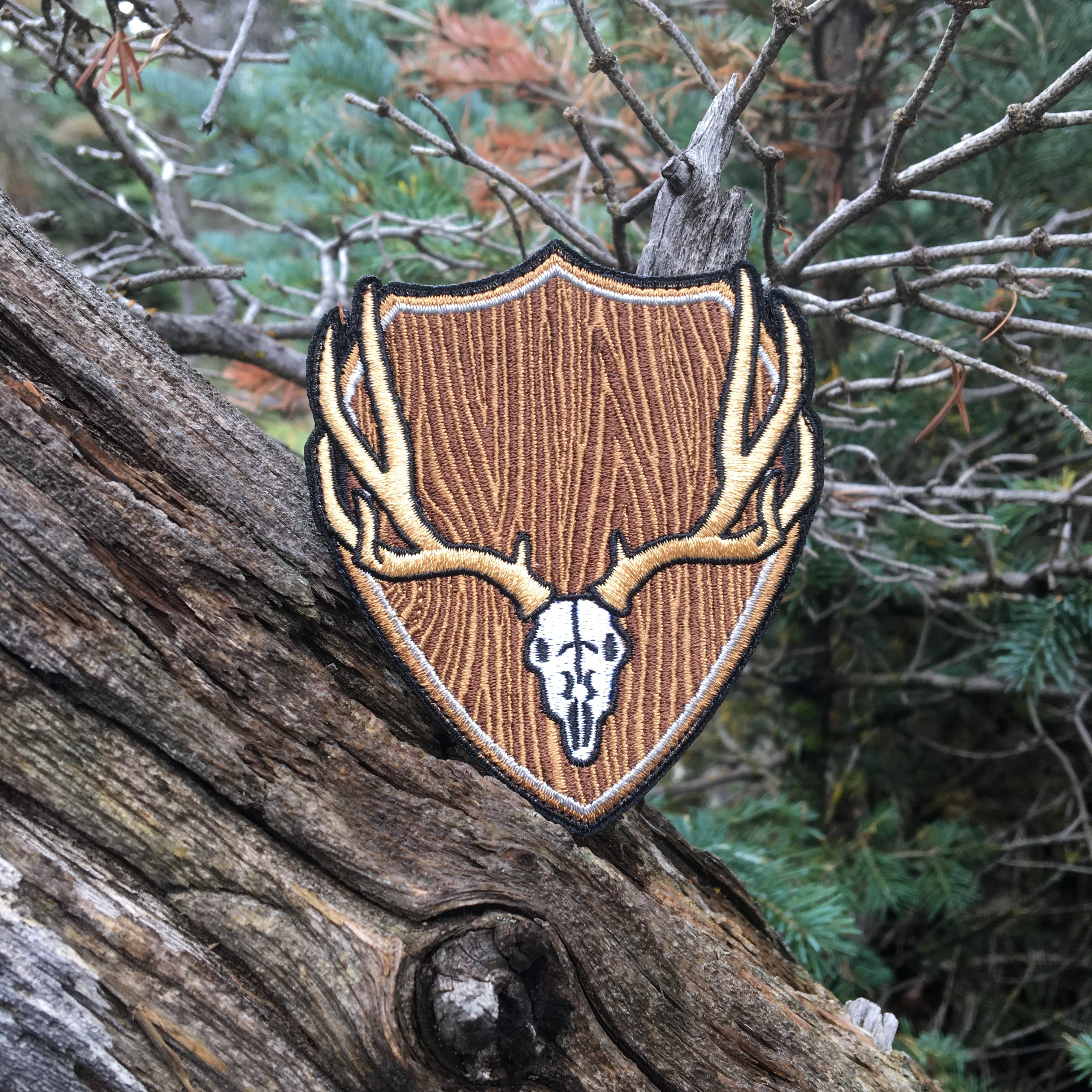Mule Deer Skull – Wildland Studio